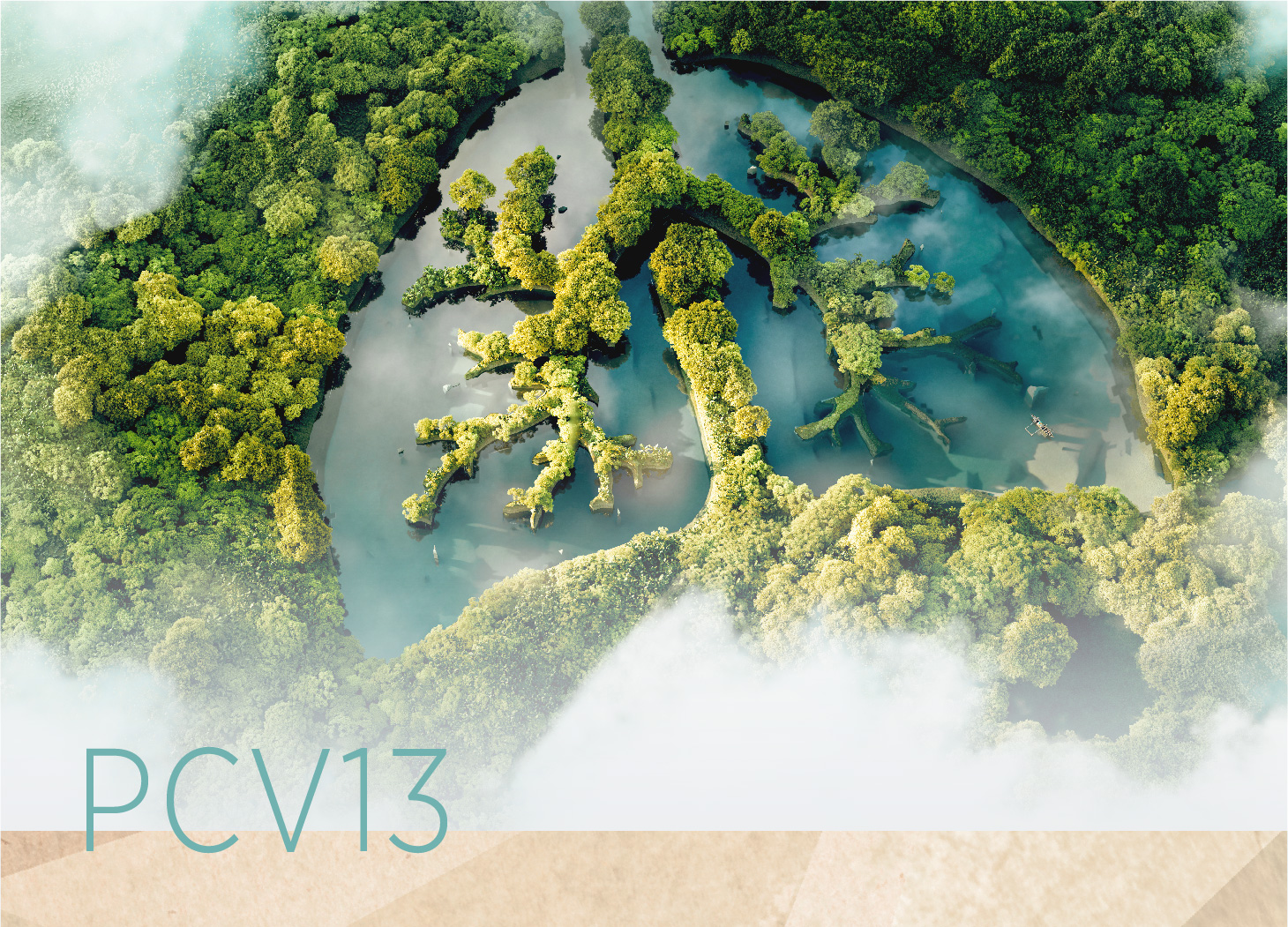 13-valent Pneumococcal Conjugate Vaccine (PCV13) | Virtus eShop